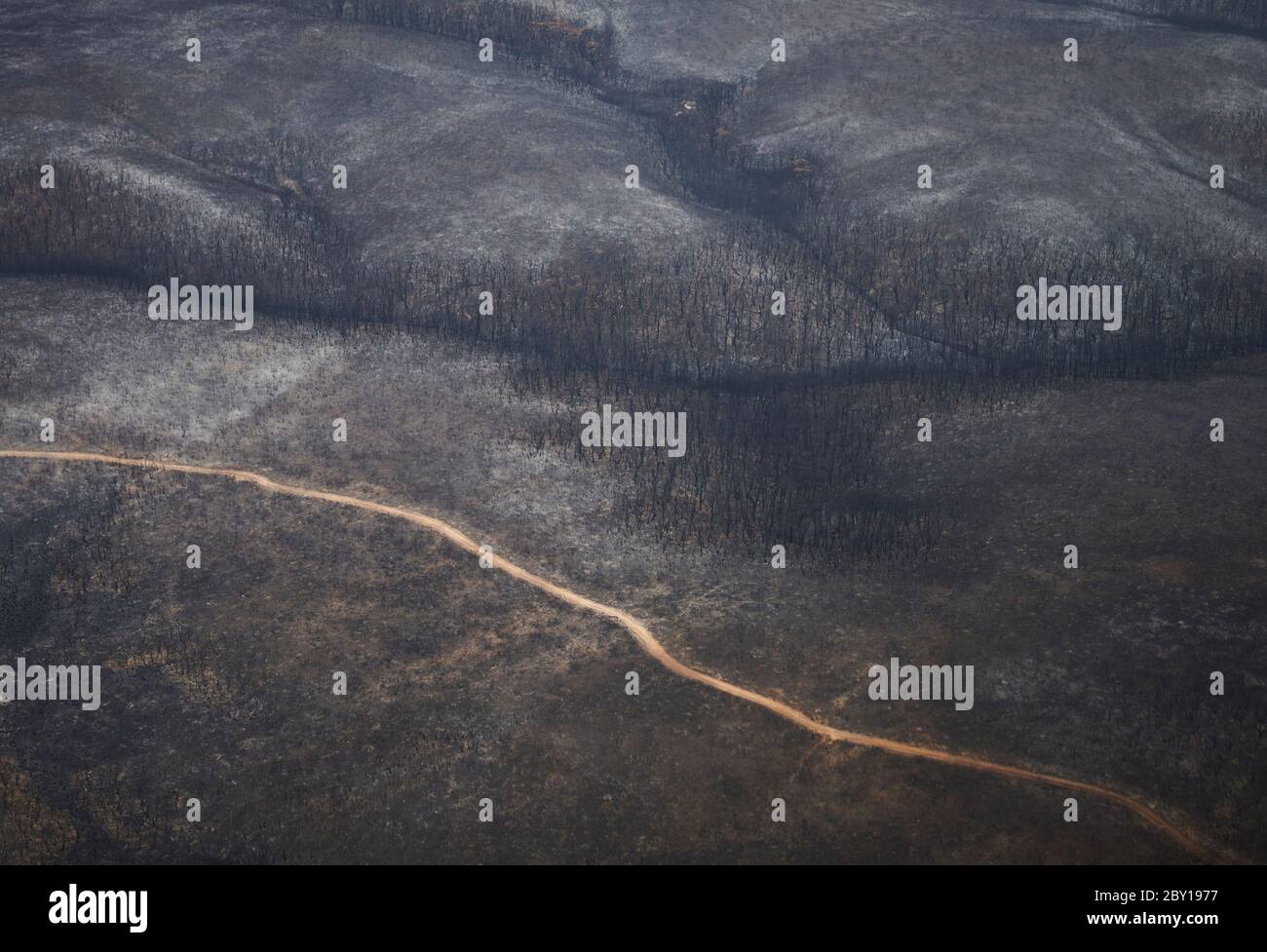 The devastated landscape of Kangaroo Island slowly coming back to life ...