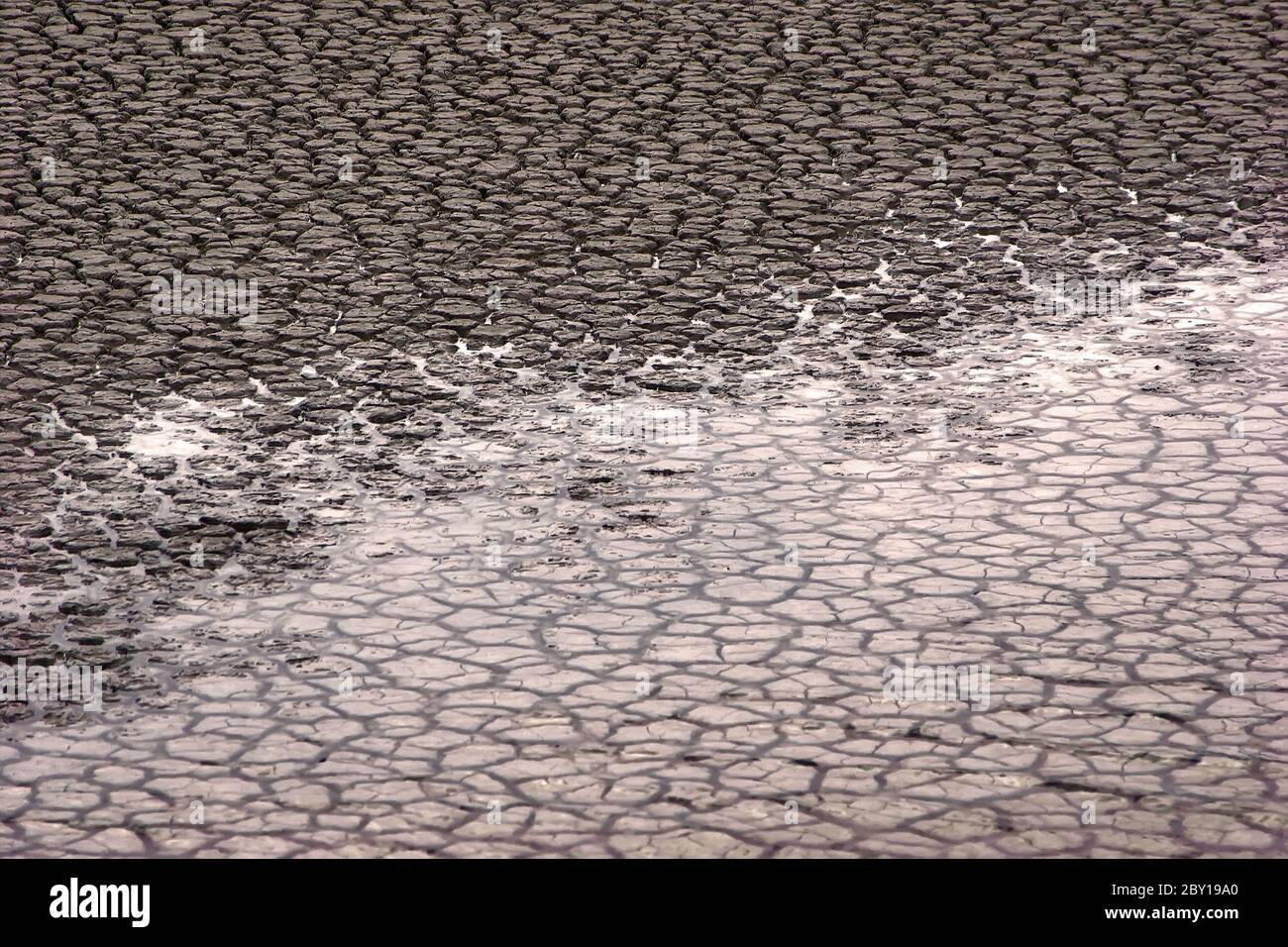 Ground level rain hi-res stock photography and images - Alamy