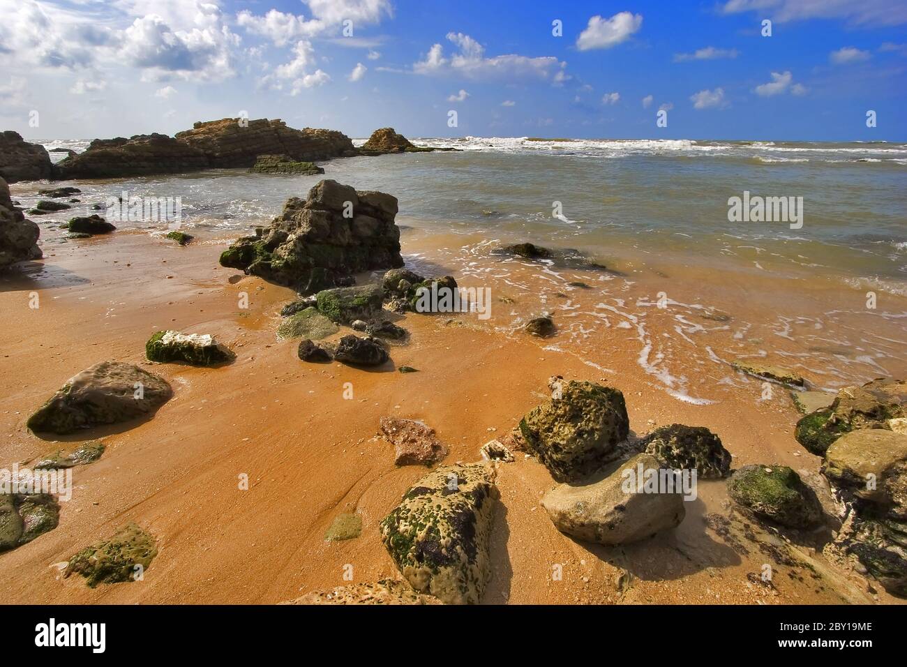 Damp climate hi-res stock photography and images - Alamy