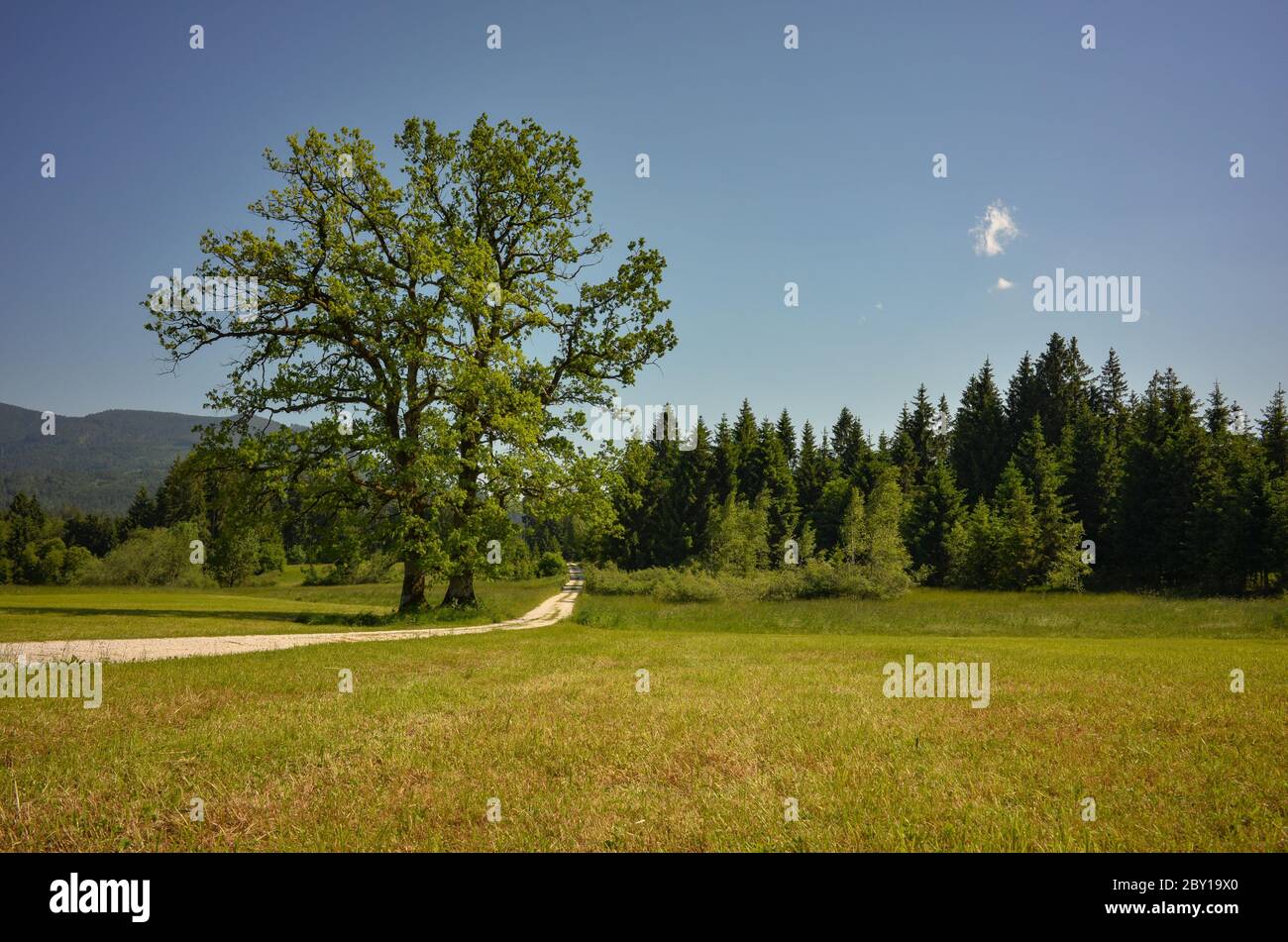 Alpine foothills landscape upper bavaria hi-res stock photography and ...