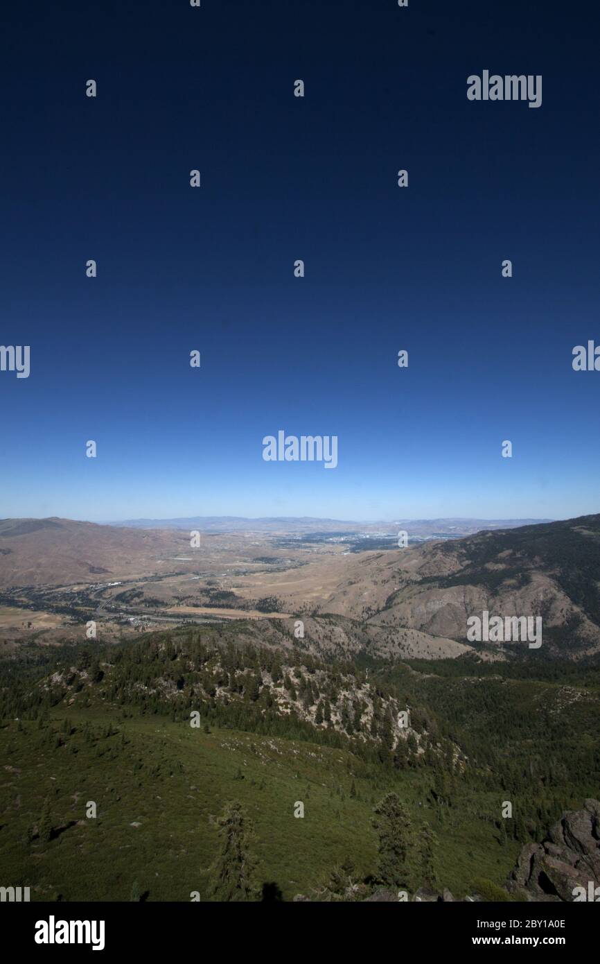 Pine trees on a mountain side Stock Photo - Alamy