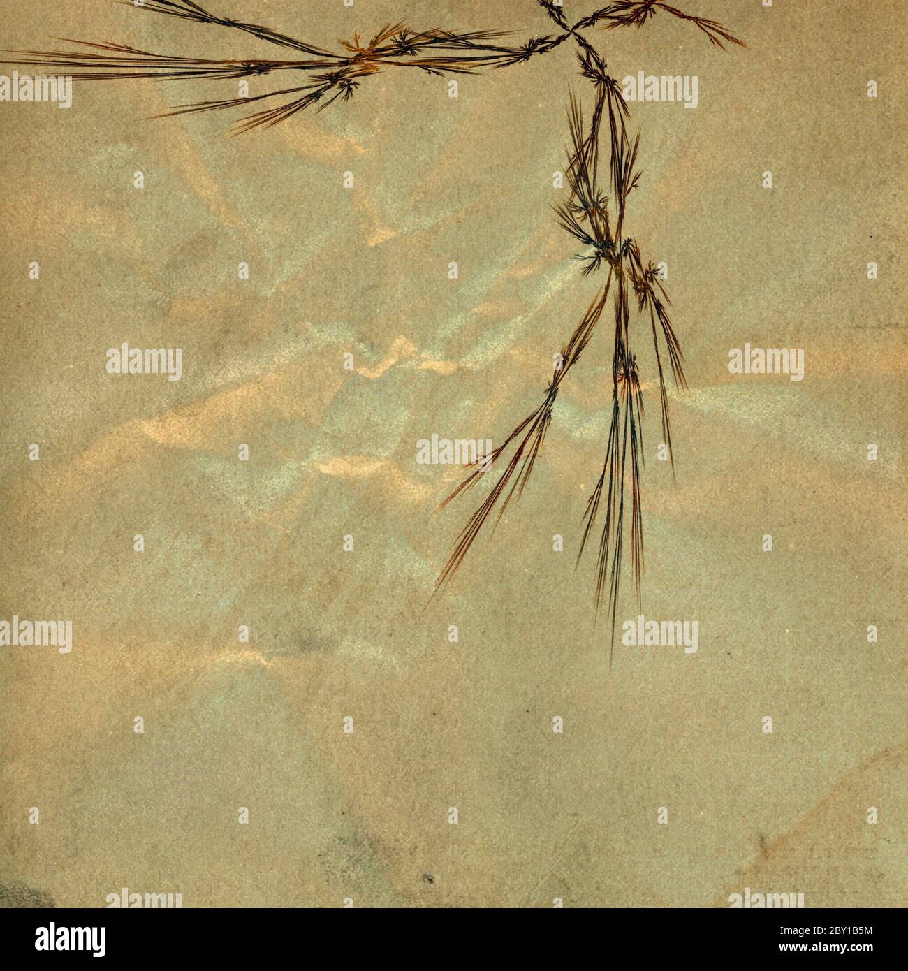 Gold drawing hi-res stock photography and images - Alamy