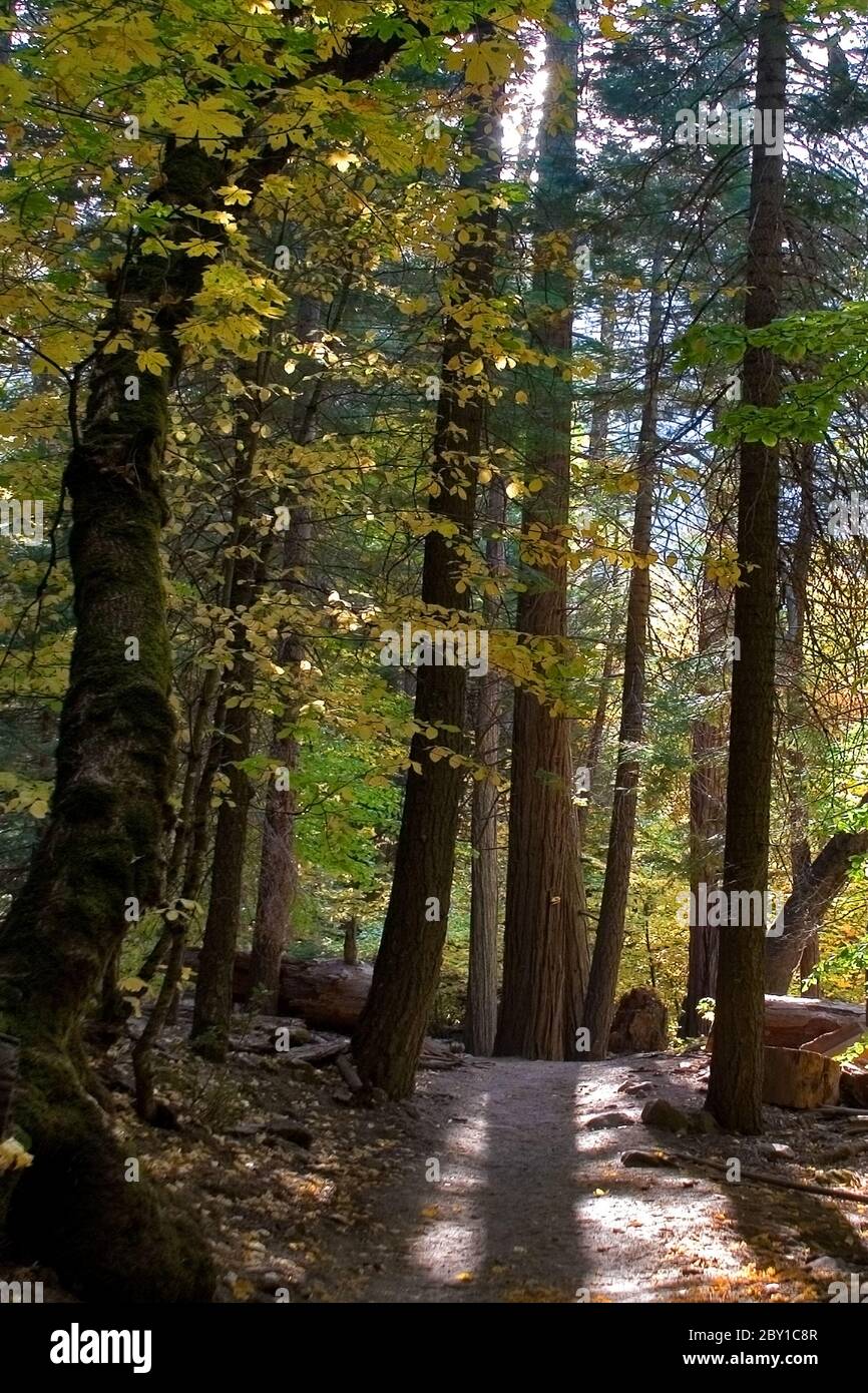 Dim sun hi-res stock photography and images - Alamy