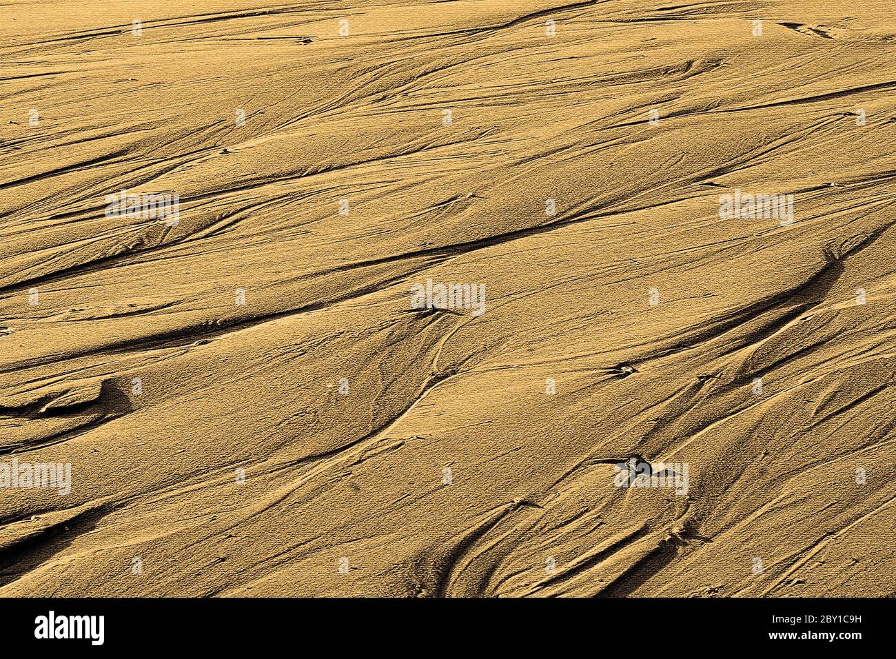 Sand grains details hi-res stock photography and images - Alamy