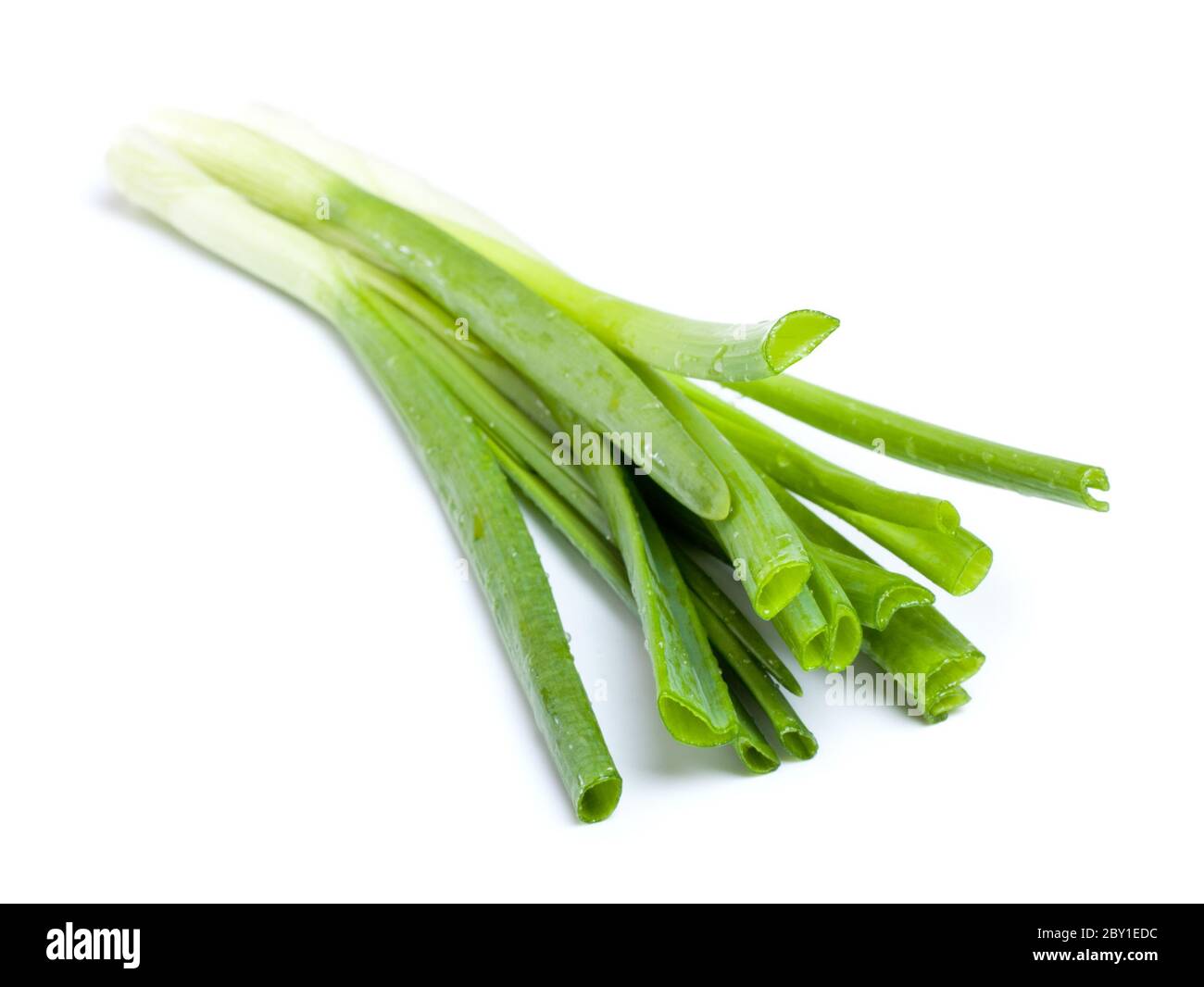 Fresh spring onions leaf Cut Out Stock Images & Pictures - Alamy