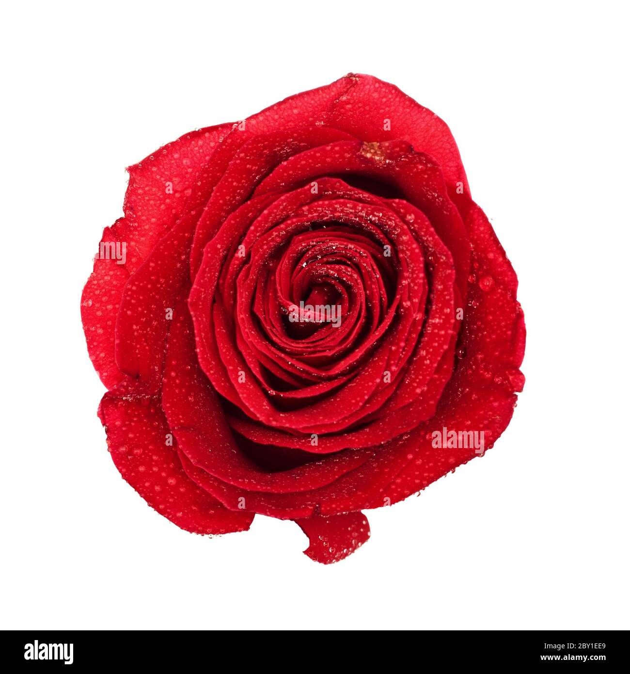 Red square top view Cut Out Stock Images & Pictures - Alamy