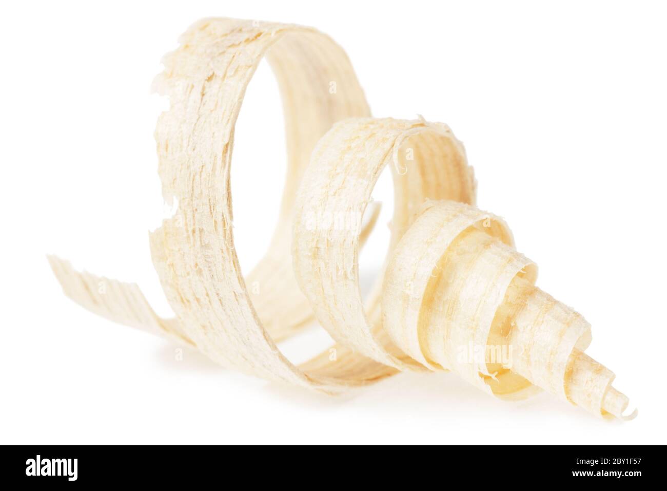 Softwood cuttings hi-res stock photography and images - Alamy