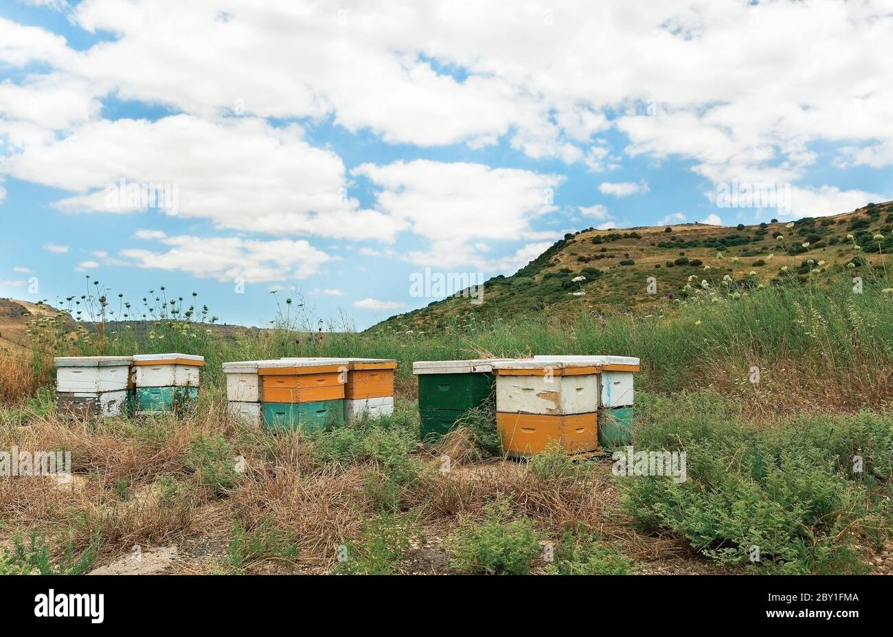 Colored beehives on the Golan Heights in Israel Stock Photo - Alamy