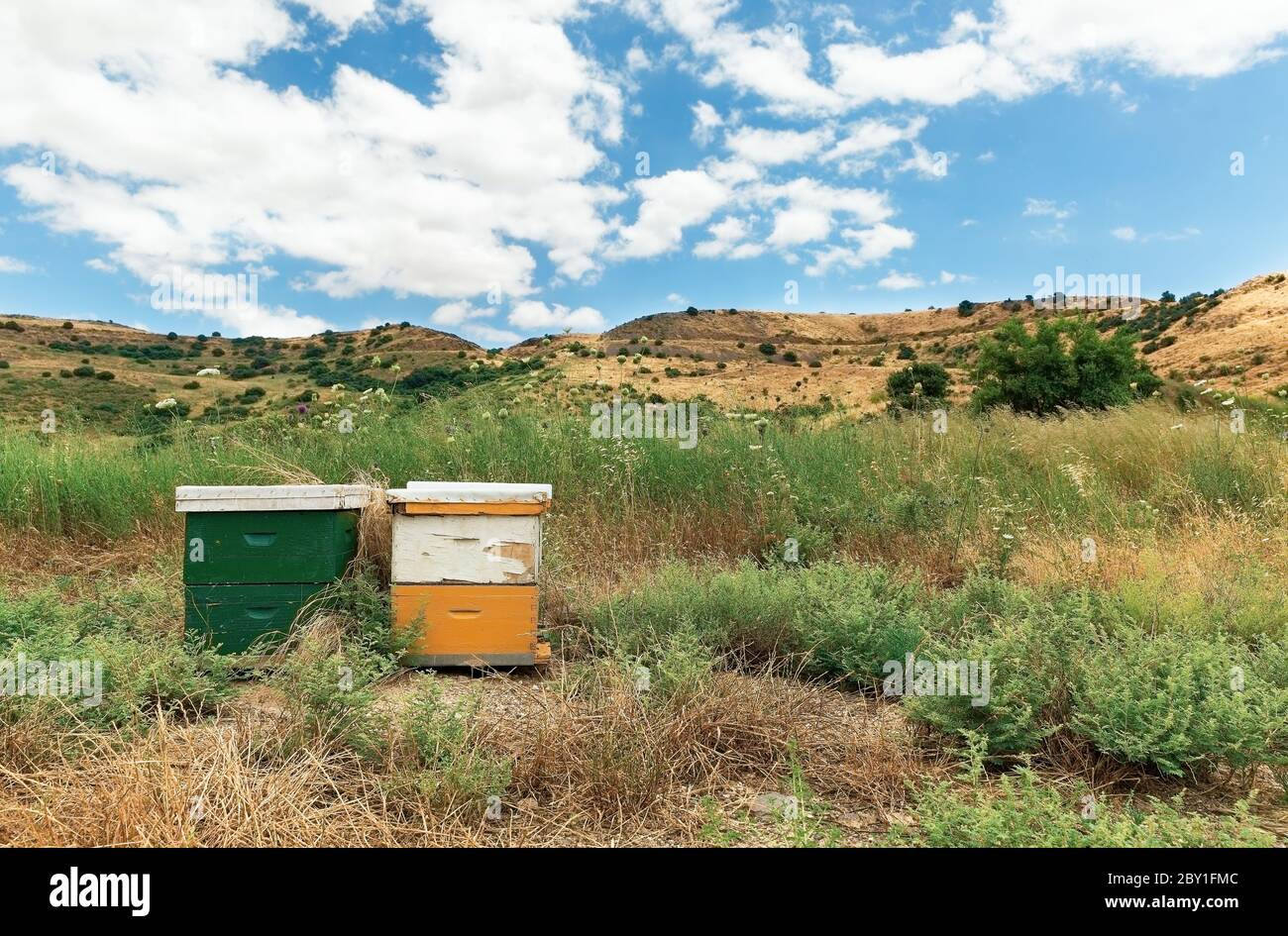 Colored beehives on the Golan Heights in Israel Stock Photo - Alamy