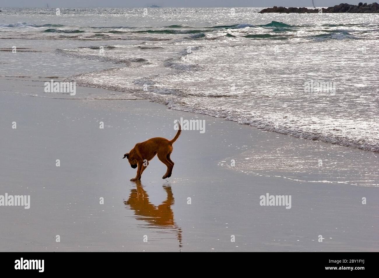 Shadow game hi-res stock photography and images - Alamy
