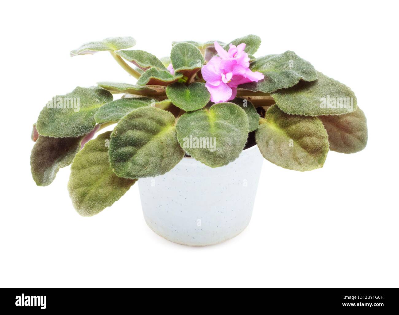 Summer home interior Cut Out Stock Images & Pictures - Alamy