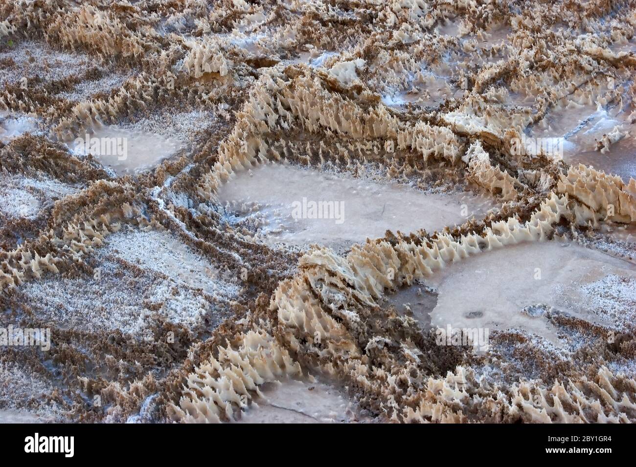 Salt crystallization pattern hi-res stock photography and images - Alamy