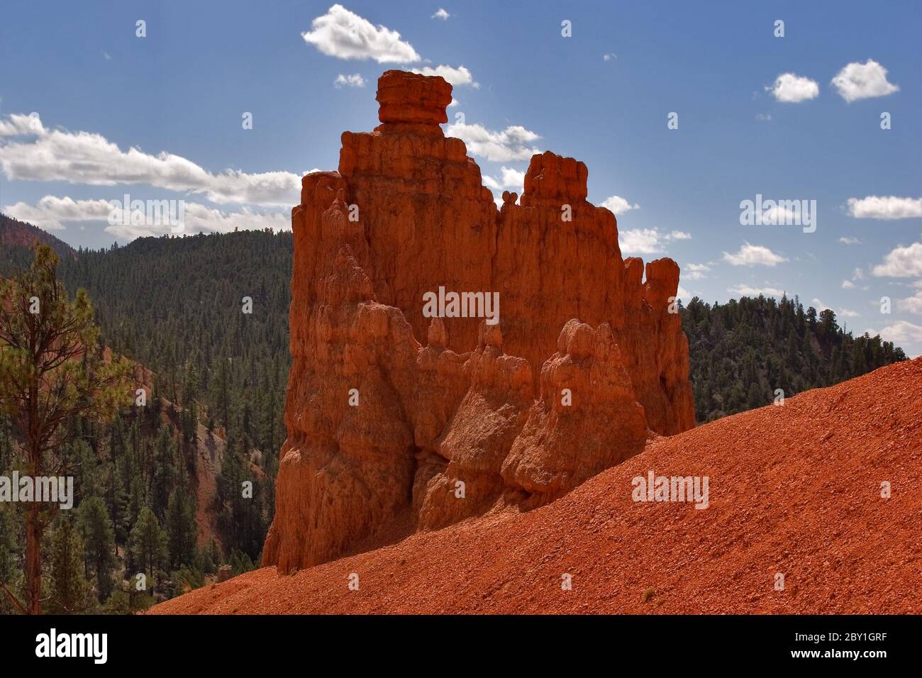 Family formation hi-res stock photography and images - Alamy