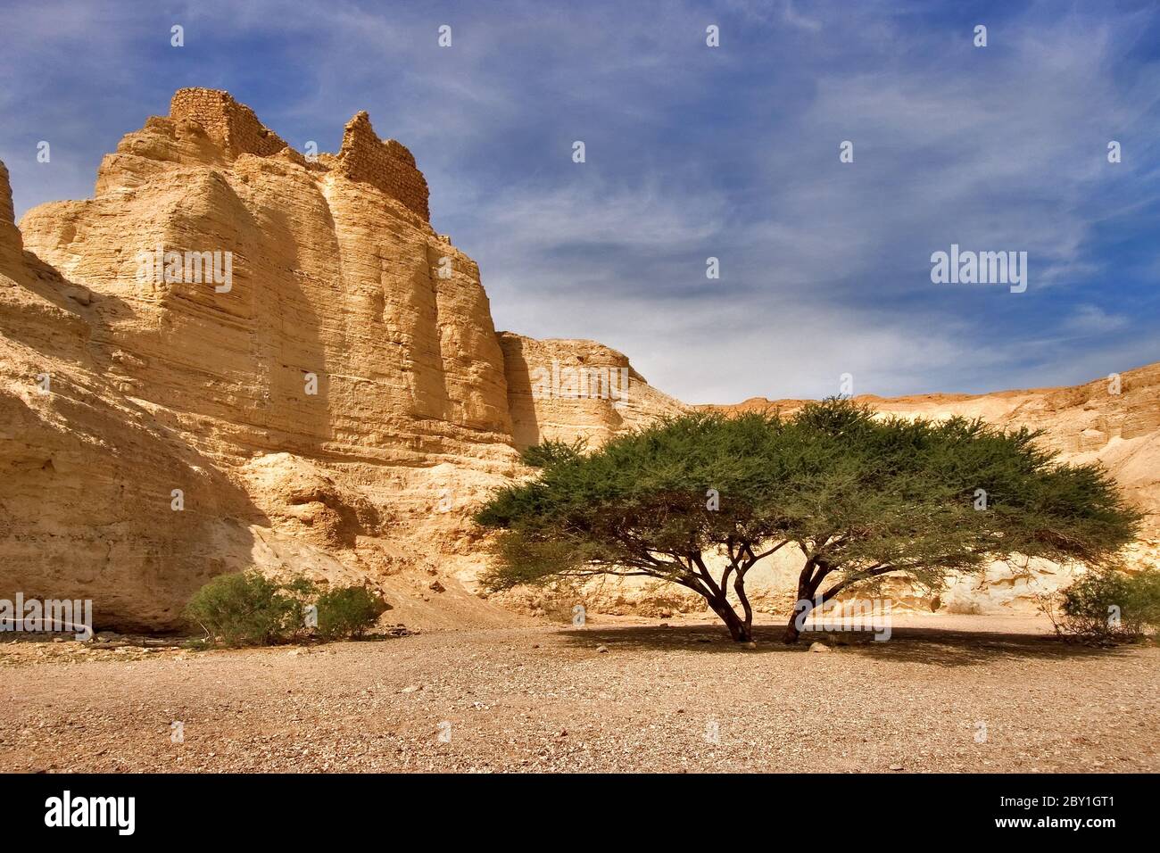 Middle of the day hi-res stock photography and images - Alamy