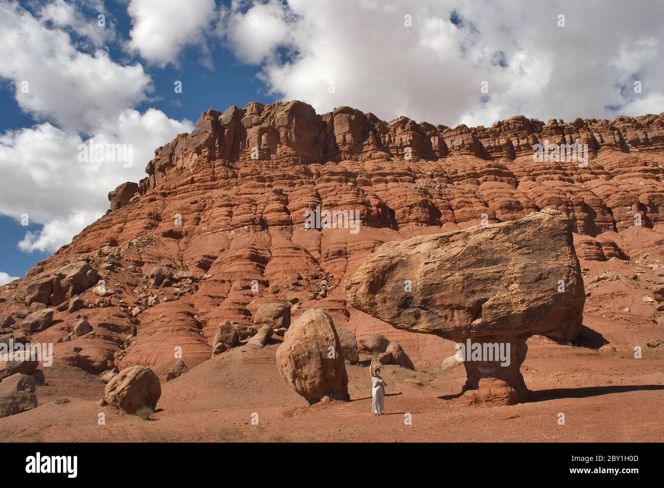 Miracles of nature hi-res stock photography and images - Alamy