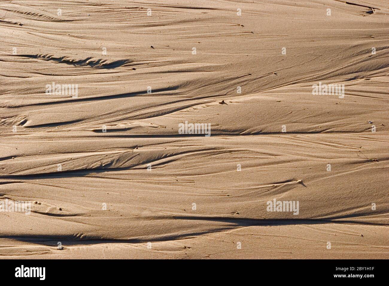 Sand grains details hi-res stock photography and images - Alamy