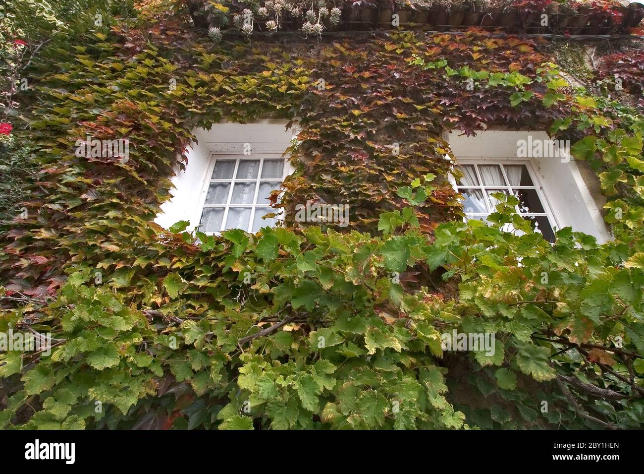 Cosy architecture view hi-res stock photography and images - Alamy