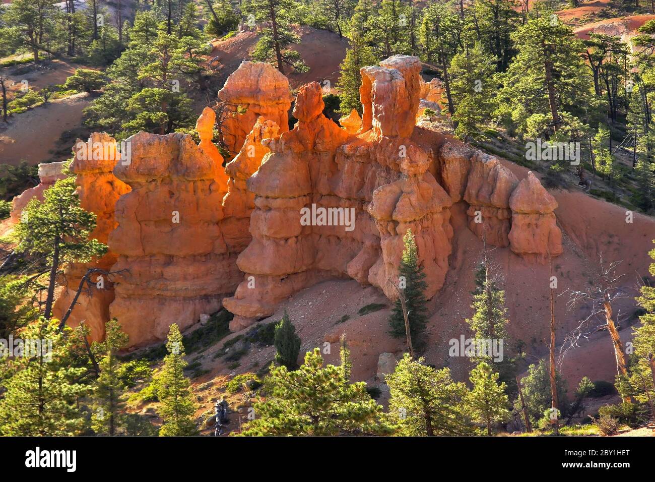 Light pink vertical hi-res stock photography and images - Alamy