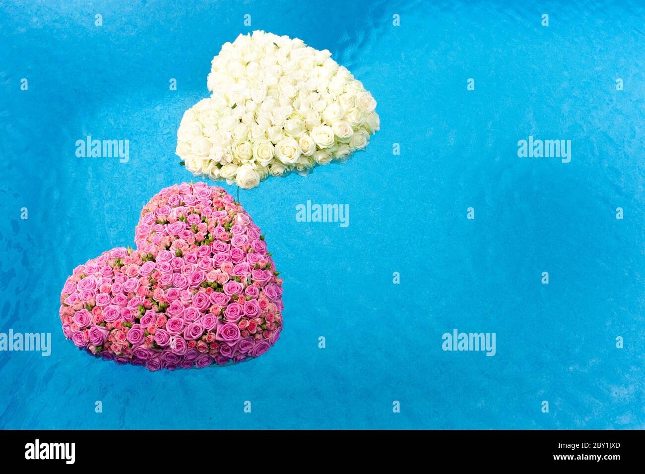 Flower hearts in water Stock Photo - Alamy
