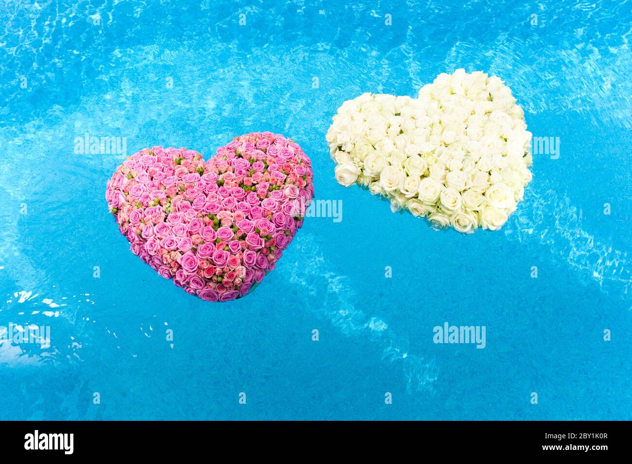 Flower hearts in water Stock Photo - Alamy