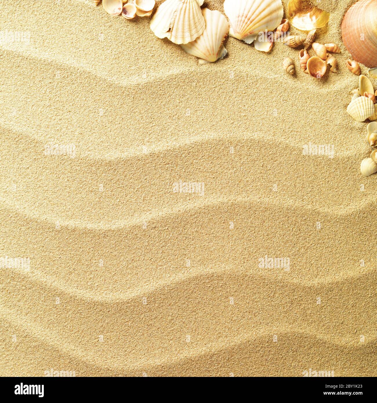 sea shells with sand as background Stock Photo - Alamy