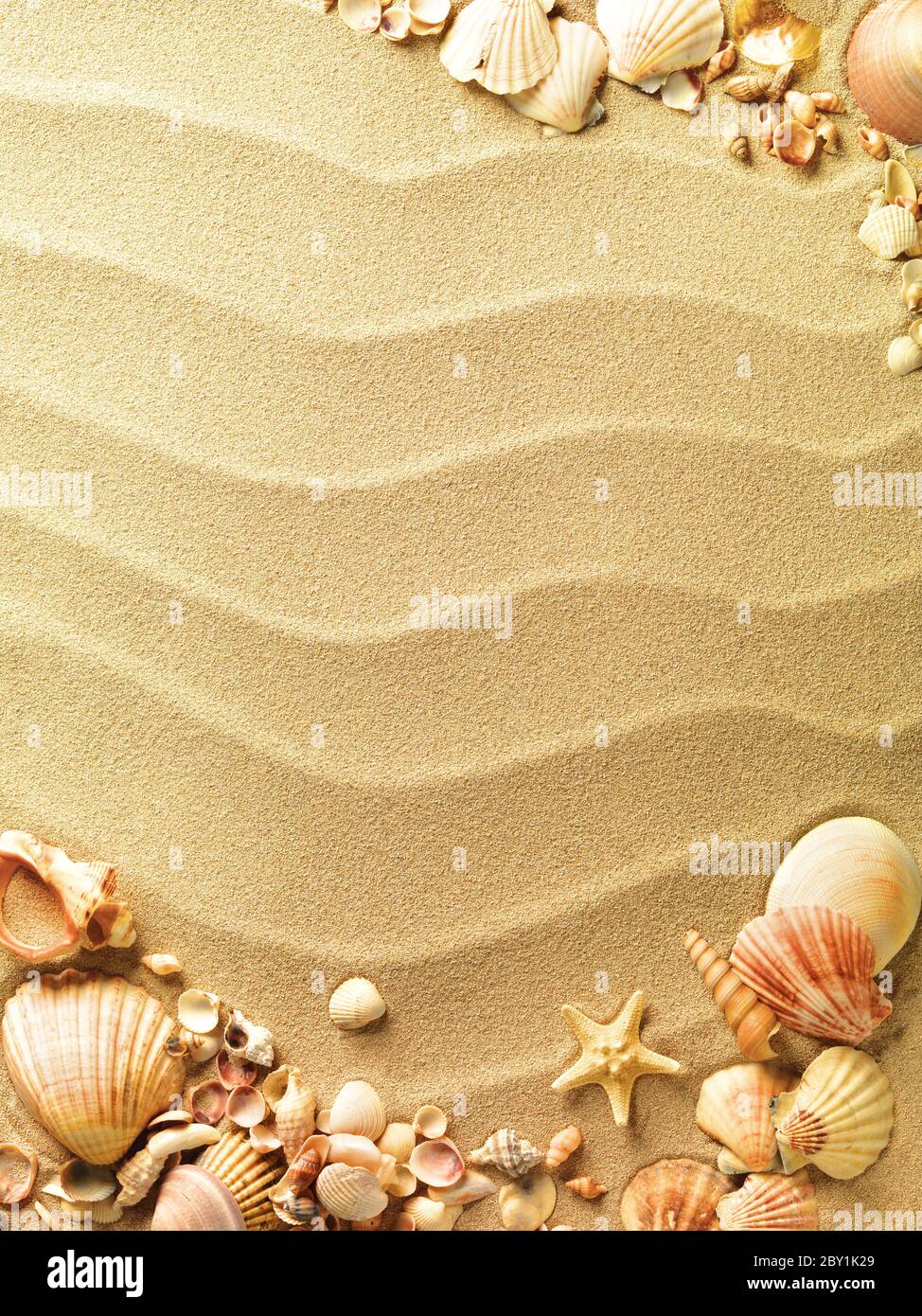 sea shells with sand as background Stock Photo - Alamy
