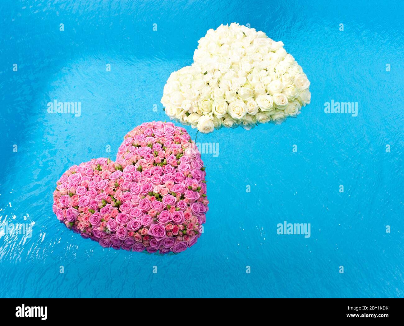 Flower hearts in water Stock Photo - Alamy
