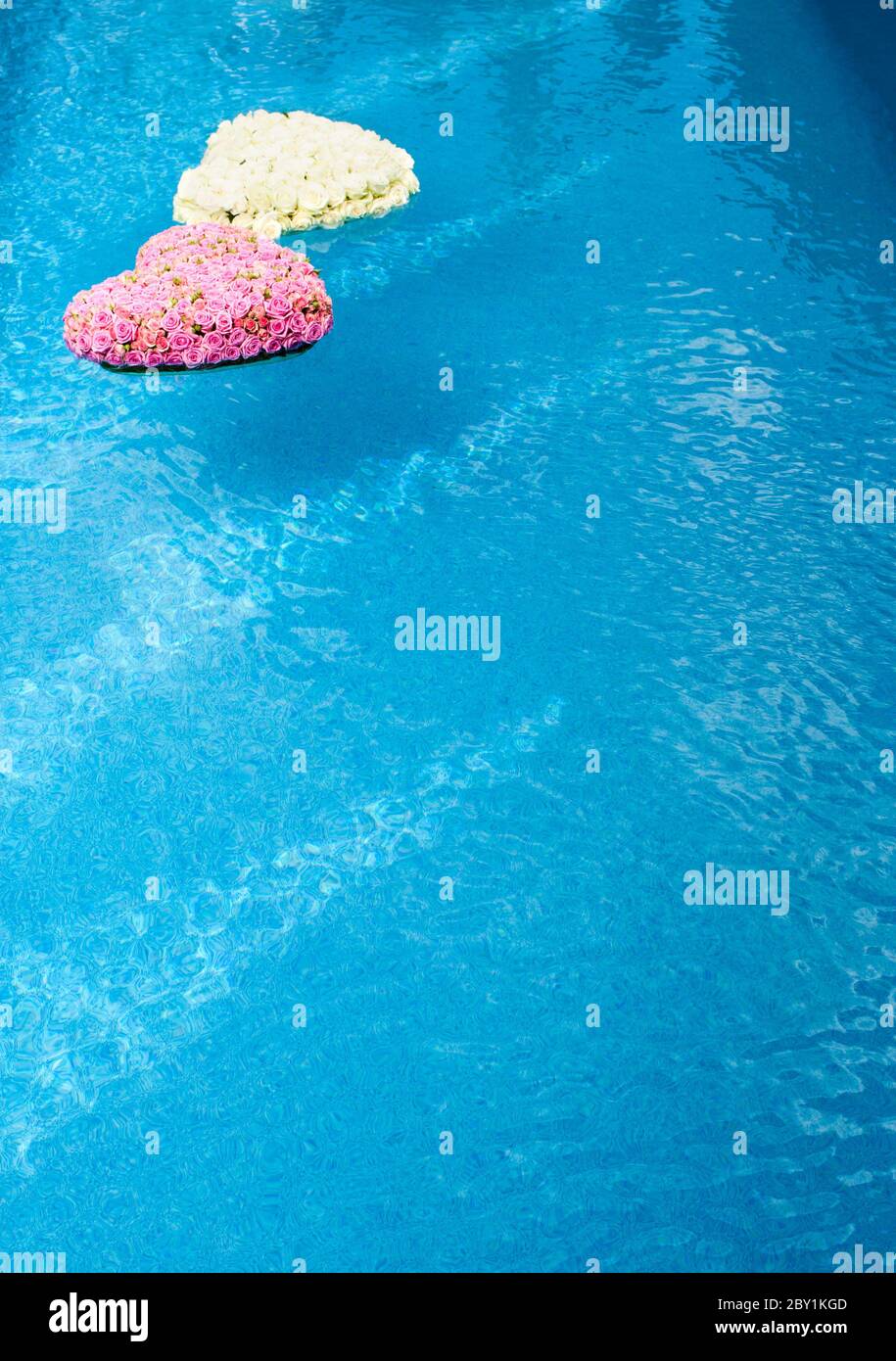 Flower hearts in water Stock Photo - Alamy