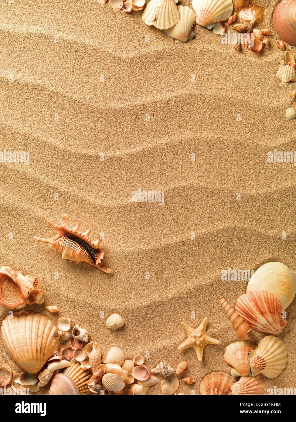 sea shells with sand as background Stock Photo - Alamy