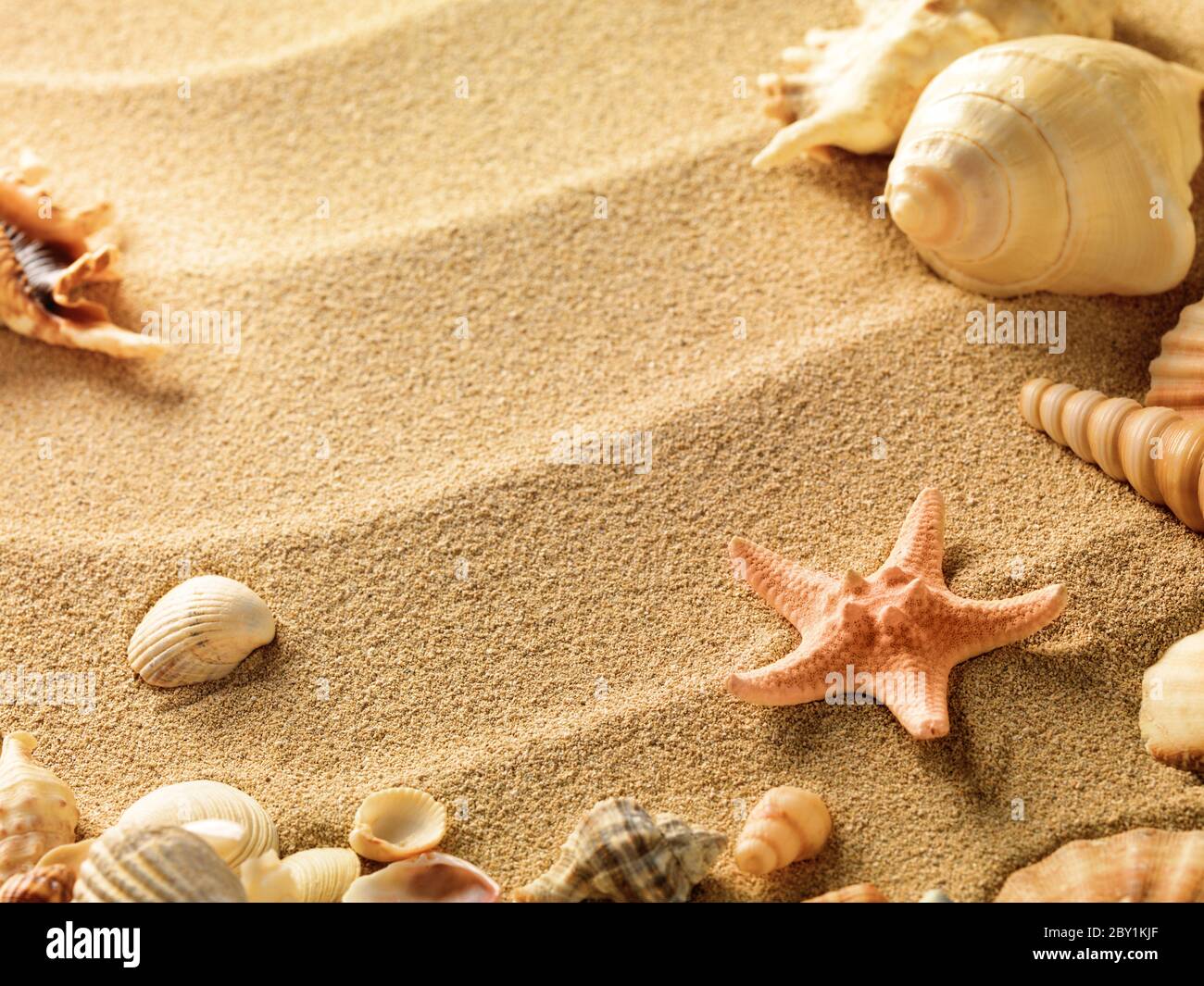 sea shells with sand as background Stock Photo - Alamy