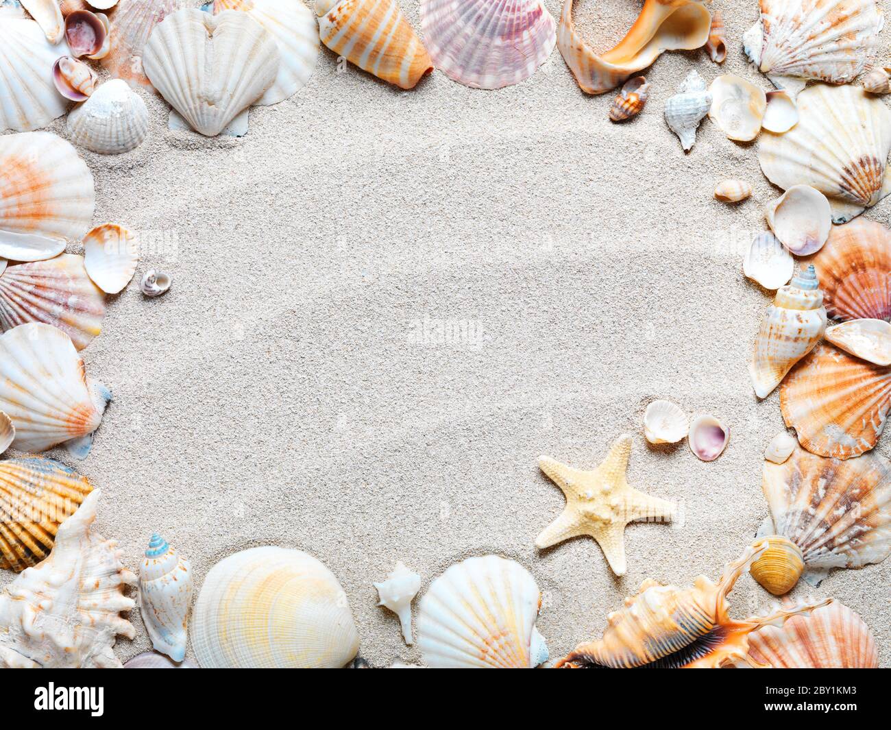 sand background with shells and starfish Stock Photo - Alamy