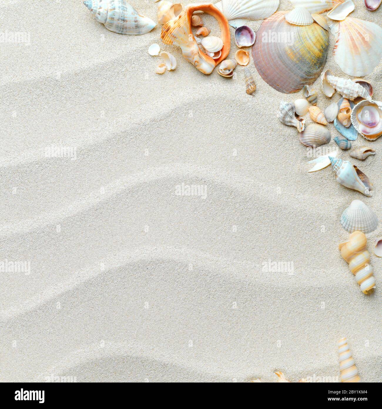 sand background with shells and starfish Stock Photo - Alamy