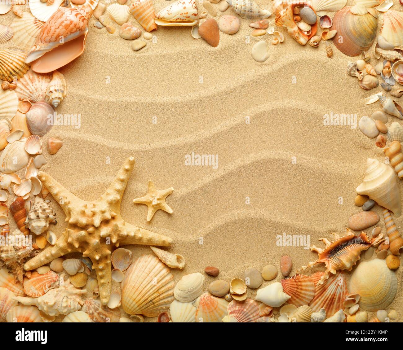 sea shells with sand as background Stock Photo - Alamy
