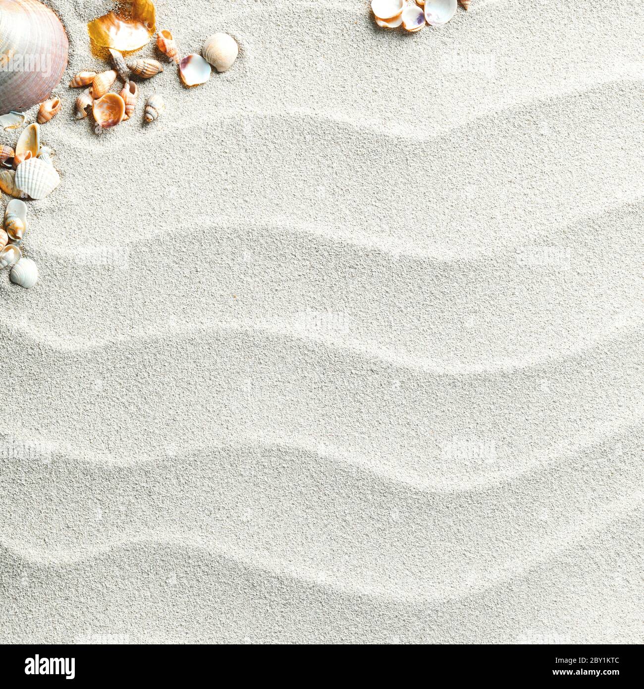 sand background with shells and starfish Stock Photo - Alamy