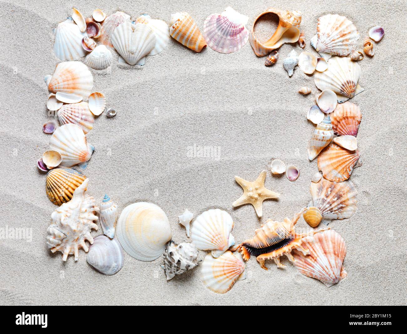 sand background with shells and starfish Stock Photo - Alamy