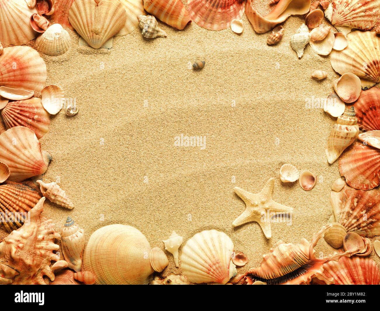 sea shells with sand as background Stock Photo - Alamy