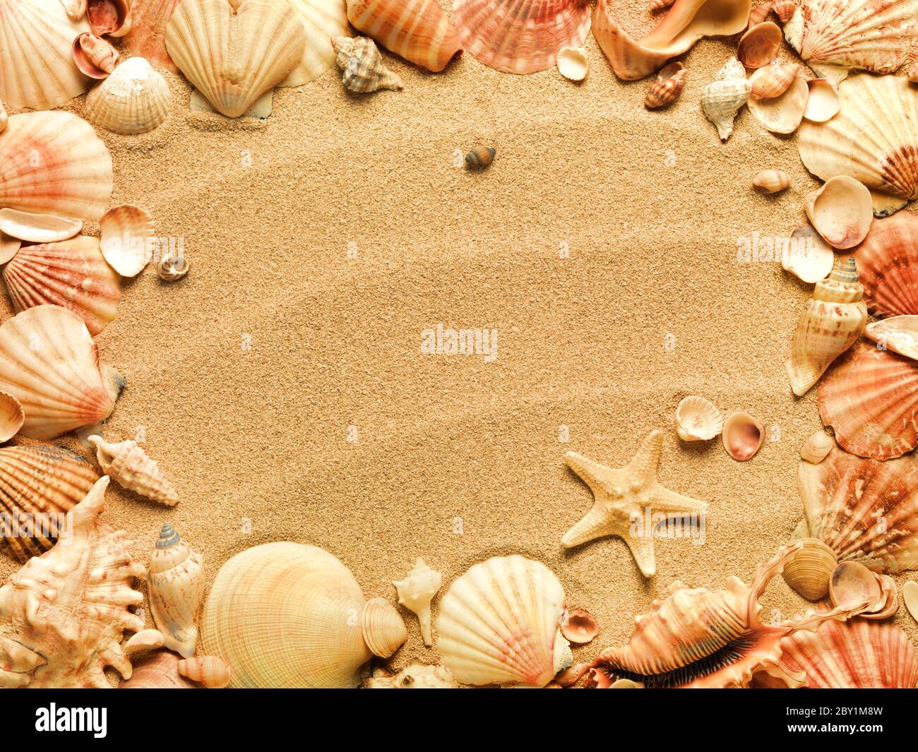 sea shells with sand as background Stock Photo - Alamy
