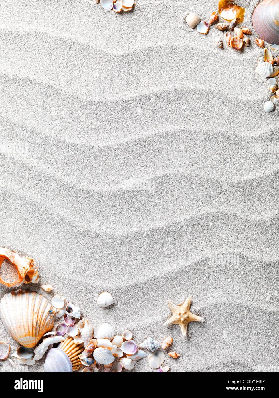 sand background with shells and starfish Stock Photo - Alamy
