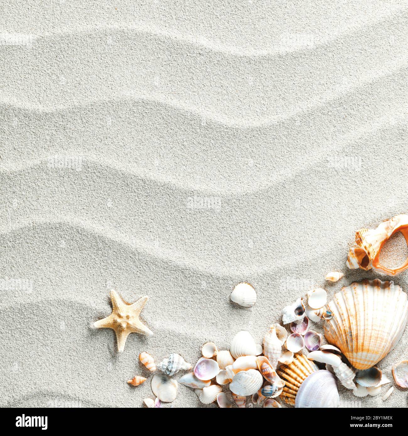 sand background with shells and starfish Stock Photo - Alamy
