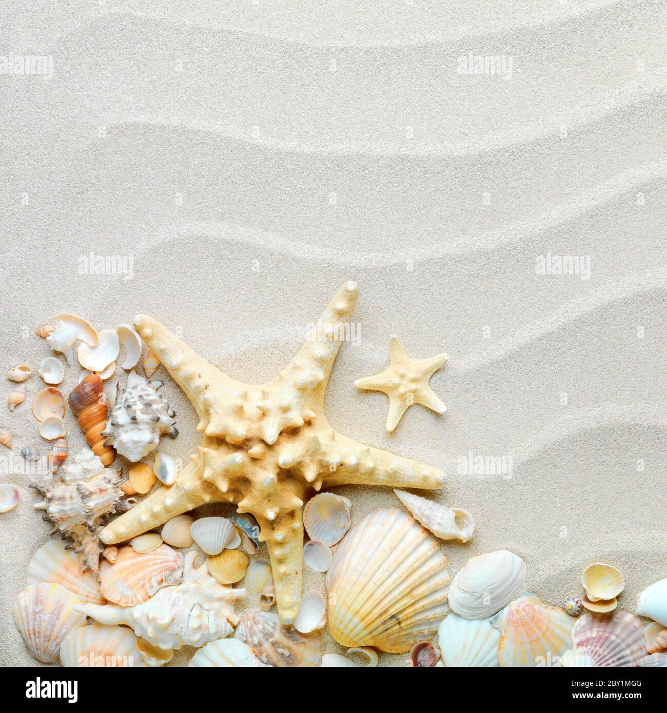 sand background with shells and starfish Stock Photo - Alamy