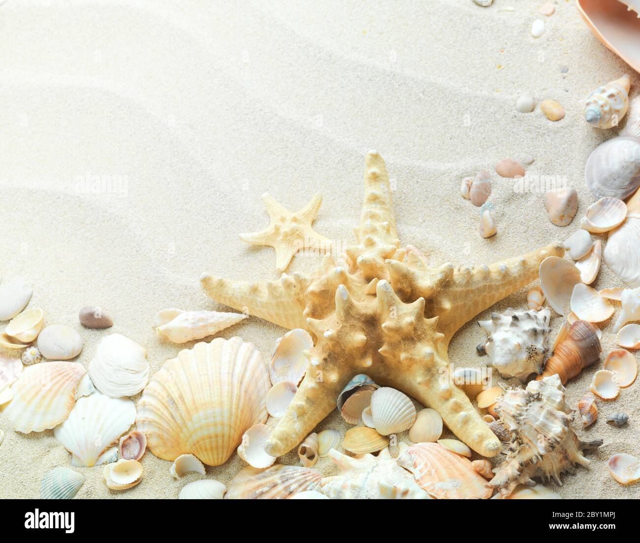 sand background with shells and starfish Stock Photo - Alamy
