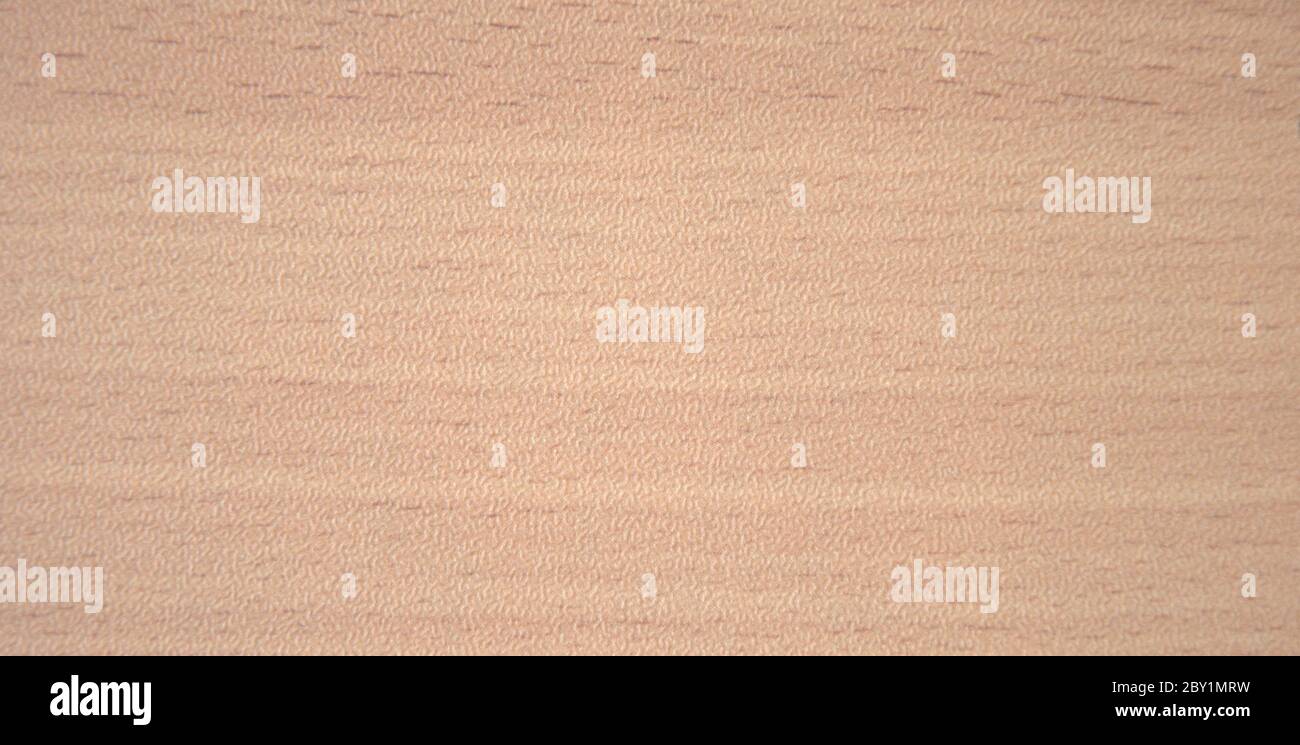 Light beech, closeup texture pattern of natural wood. Background Stock ...