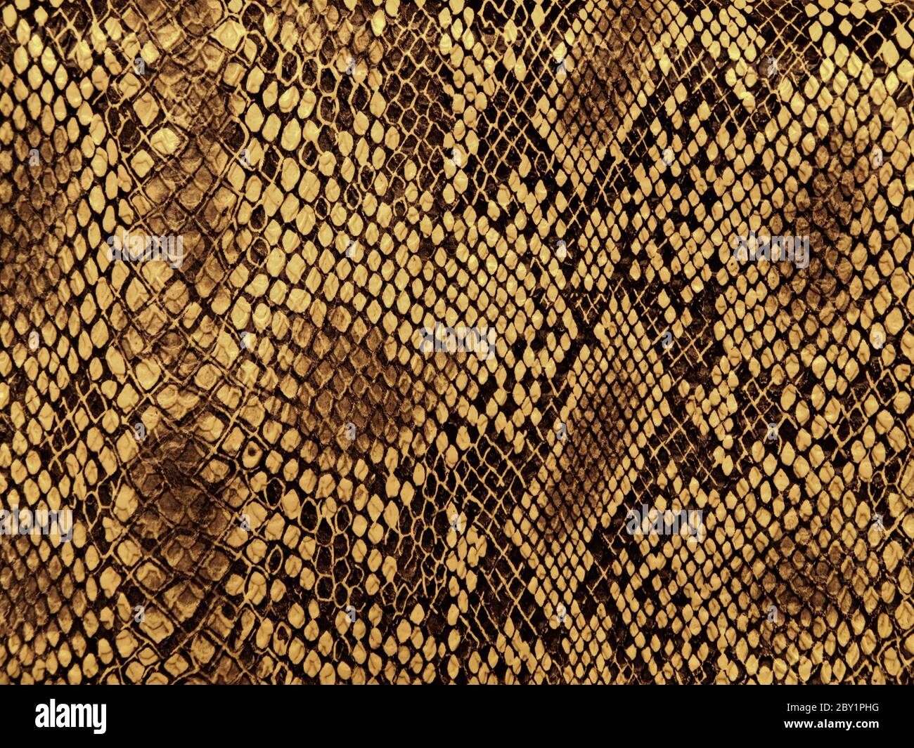 snake skin pattern Stock Photo - Alamy