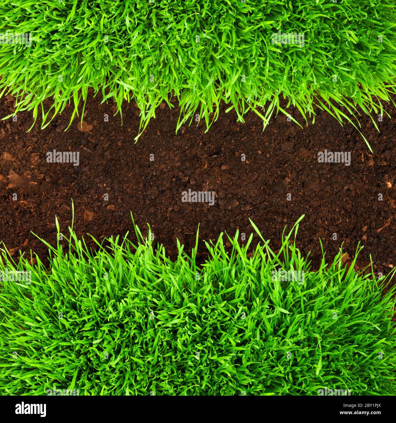 healthy grass and soil Stock Photo - Alamy