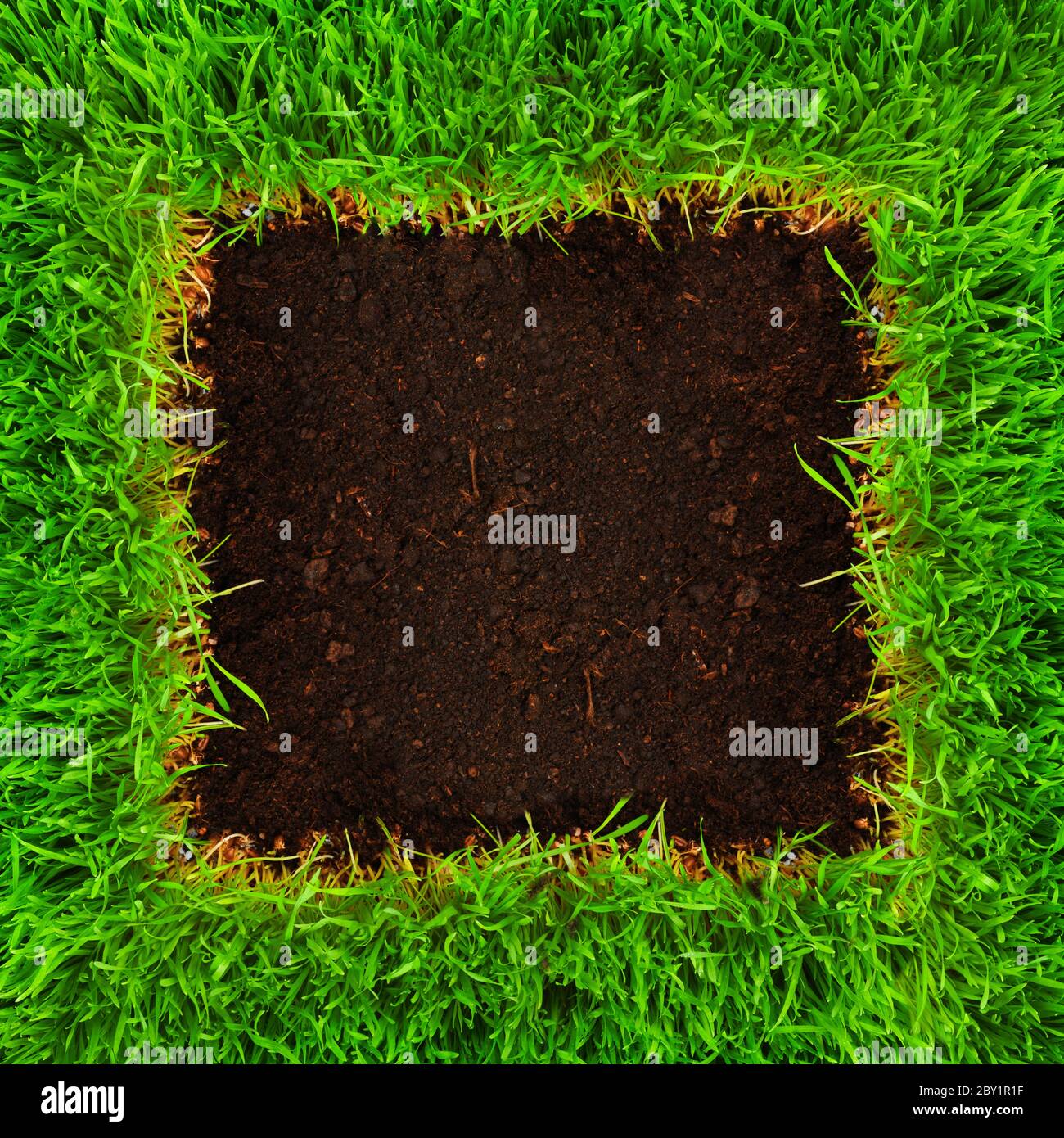 healthy grass and soil Stock Photo - Alamy