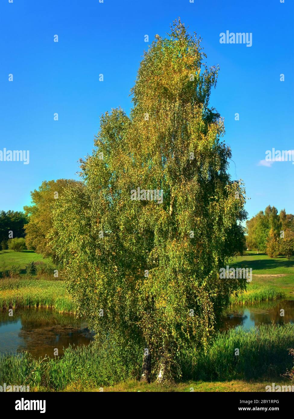 Summer scenery hi-res stock photography and images - Alamy