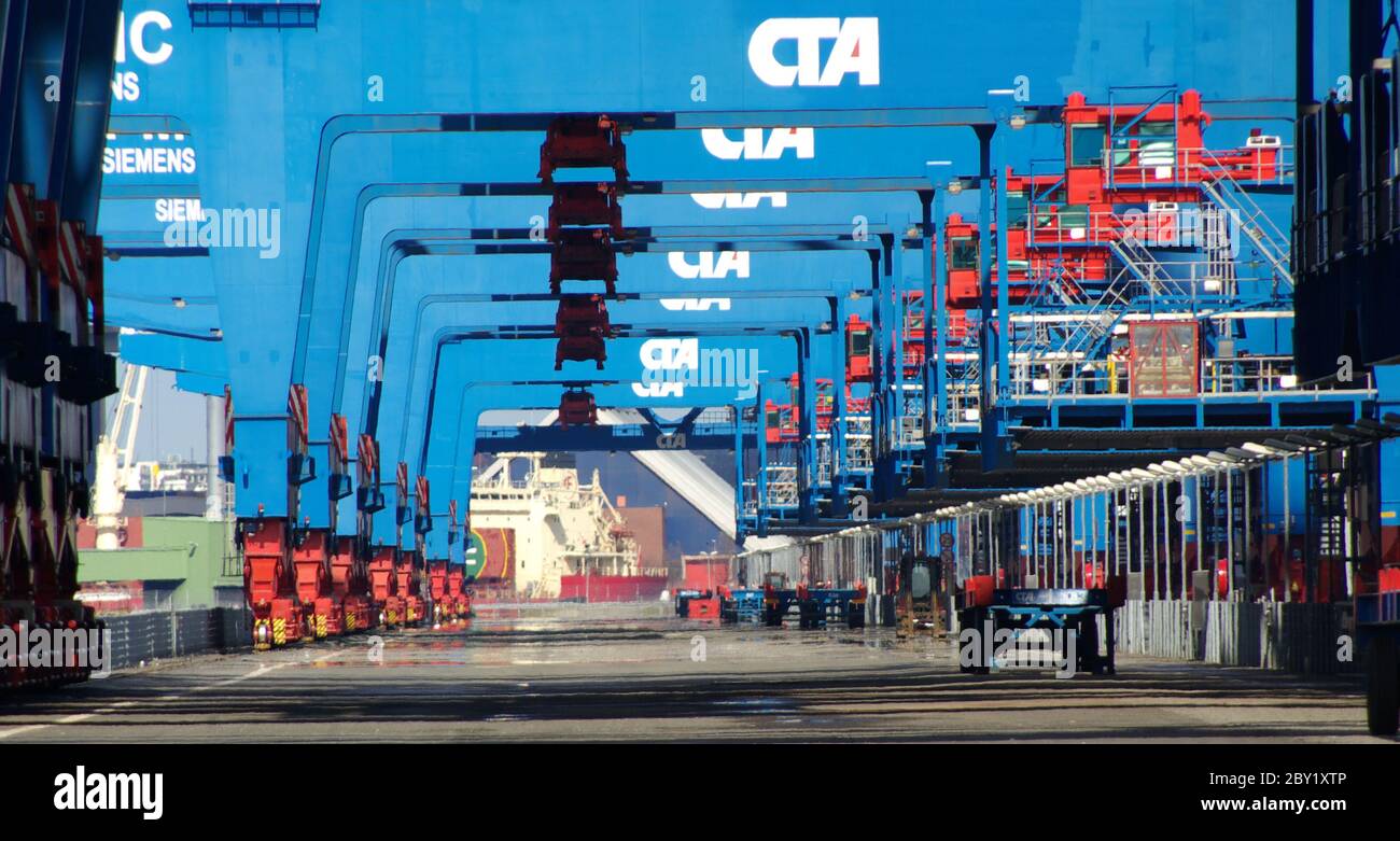 Container gantry cranes CTA - Hamburg Stock Photo - Alamy