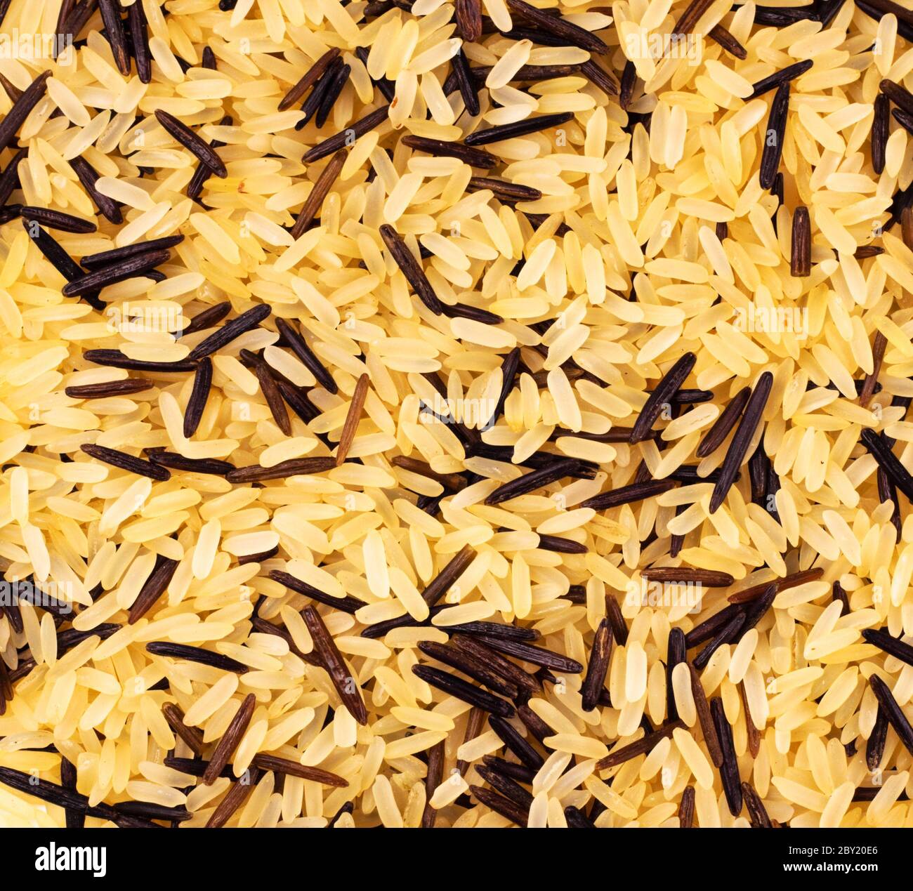 Photo blend hi-res stock photography and images - Alamy