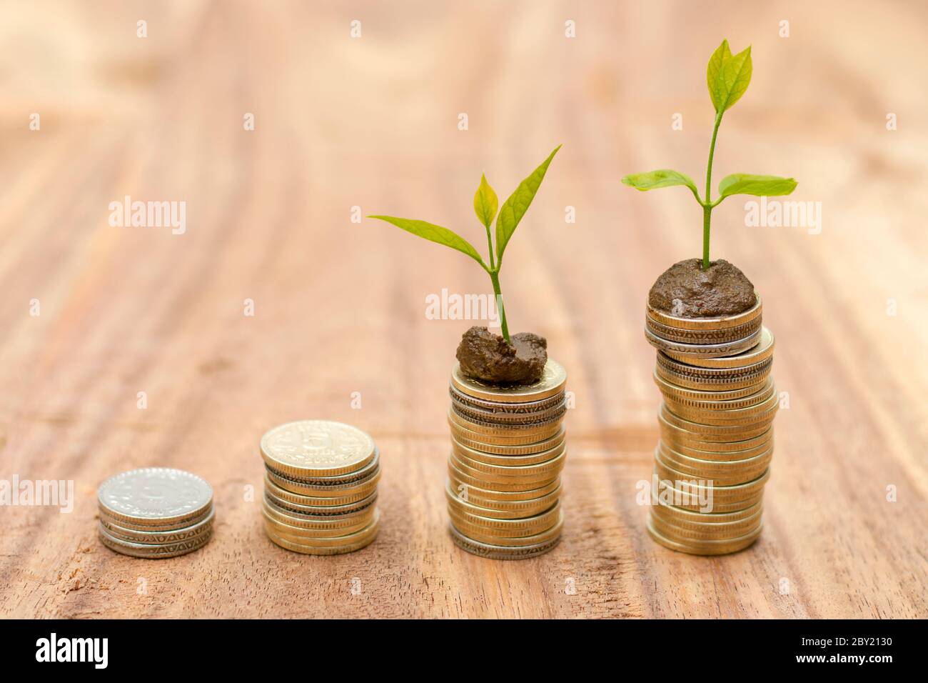 Investment grow hi-res stock photography and images - Alamy