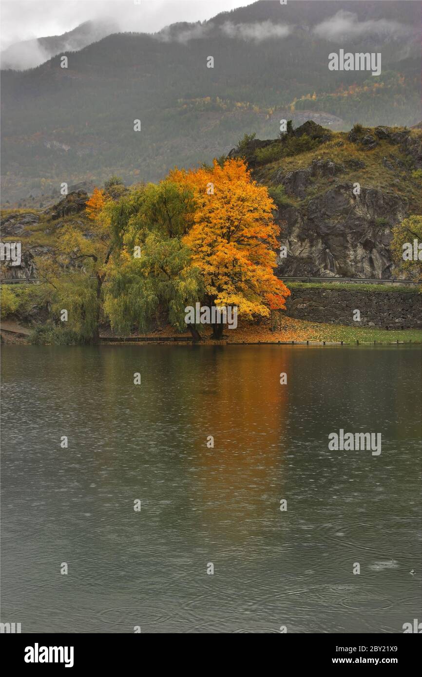 Sparkling reflection hi-res stock photography and images - Alamy